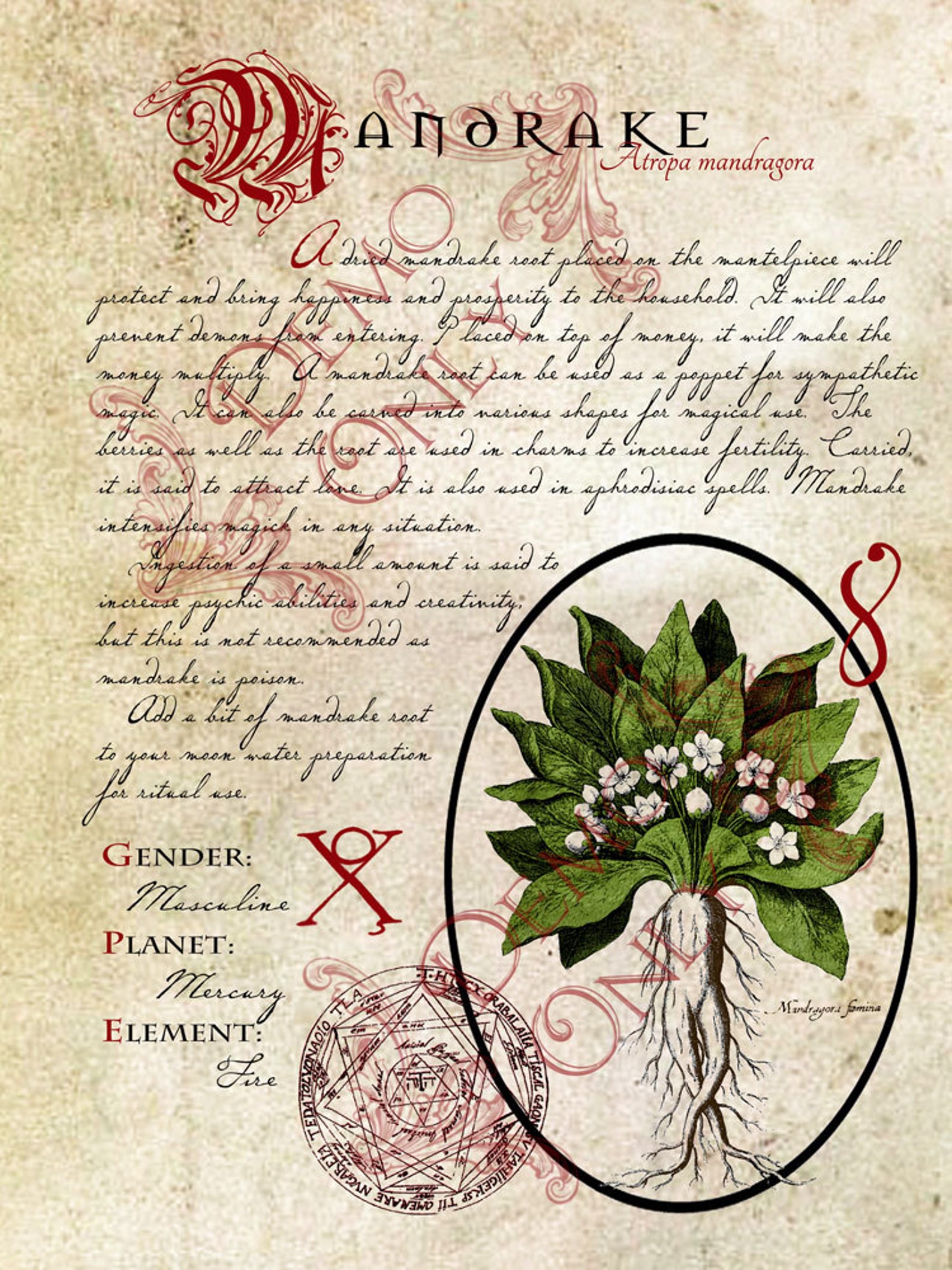 The Cackling Cauldron BOS Pretty Poisons 4 Page Set - Etsy