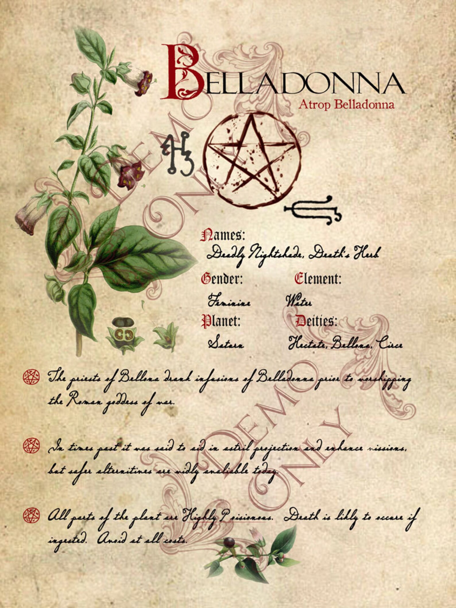 The Cackling Cauldron BOS Pretty Poisons 4 Page Set - Etsy