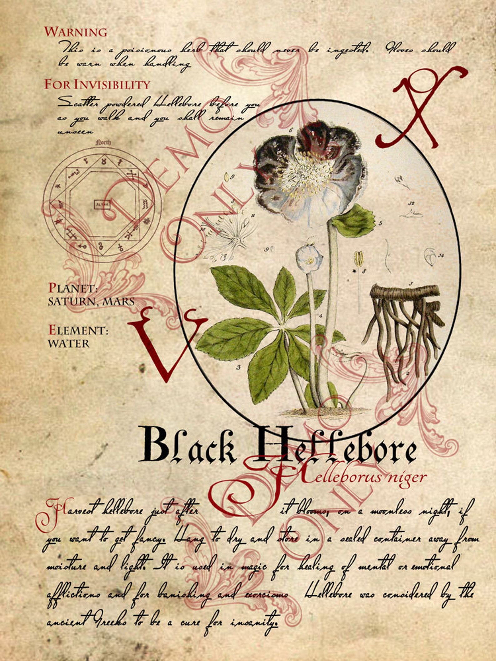 The Cackling Cauldron BOS Pretty Poisons 4 Page Set - Etsy