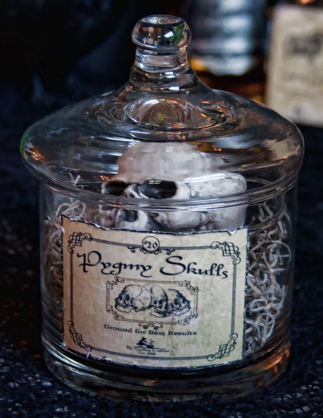 Pygmy Skull Jar - Etsy