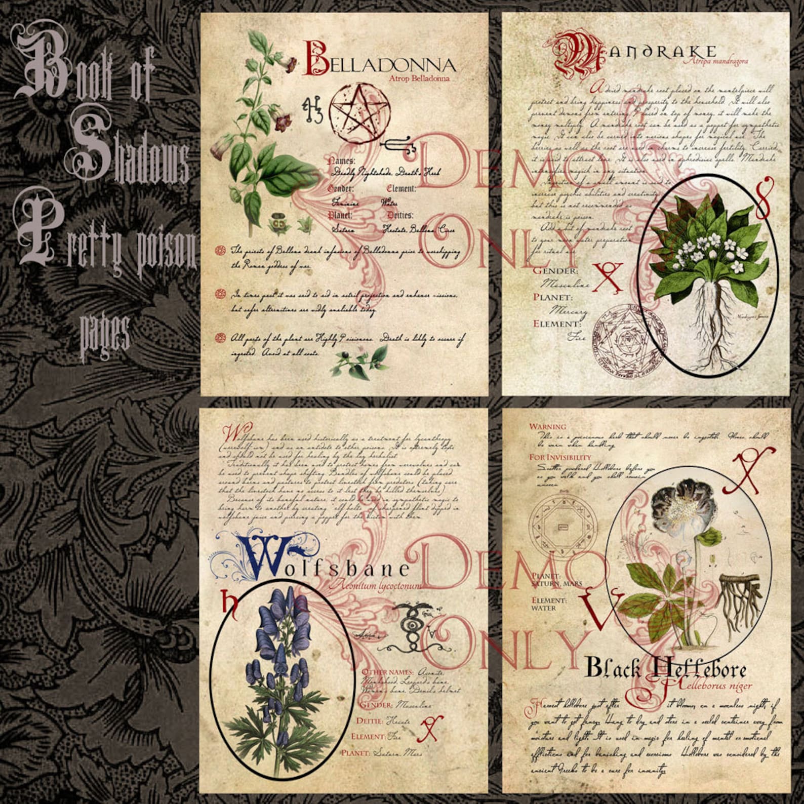 The Cackling Cauldron BOS Pretty Poisons 4 Page Set - Etsy