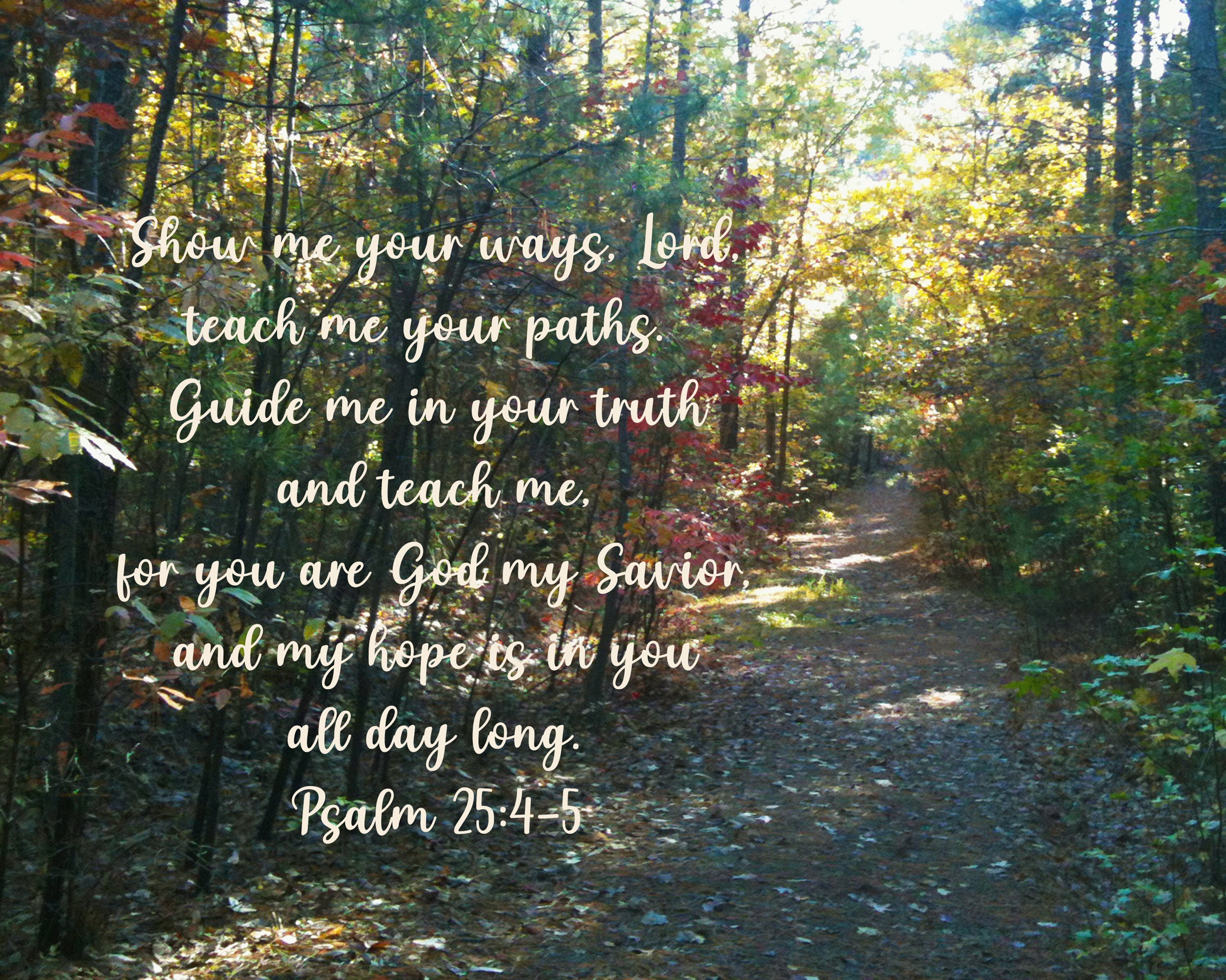 Psalm 25:4-5 Show Me Your Ways Lord Teach Me Your Paths Guide Me ...