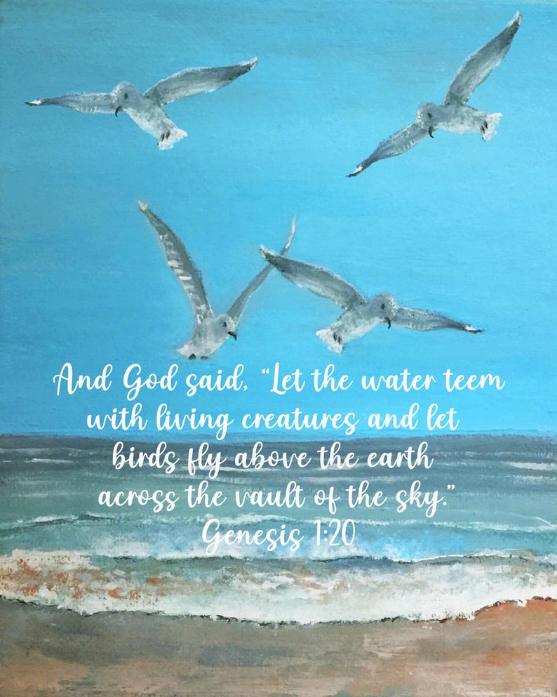 Genesis 1:20 and God Said, Let the Water Teem With Living Creatures ...