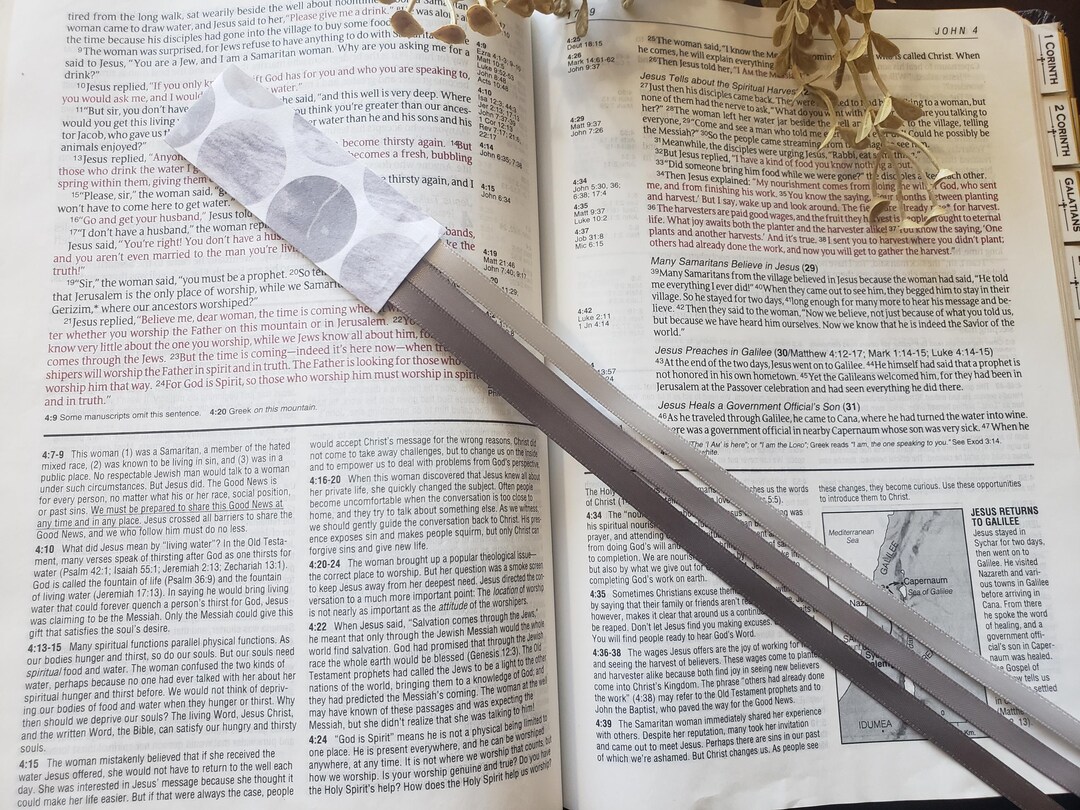 BALANCE Bible Bookmark Ribbons/ Multi Page Ribbon Book Marker/ Bible ...