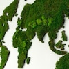 Moss Worldmap, Moss Wall, Moss Decoration, Vertical Garden, Moss Art ...
