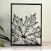 Monstera Decoration, Monstera Leaves Wall Decor, 3 Piece Wall Panels ...