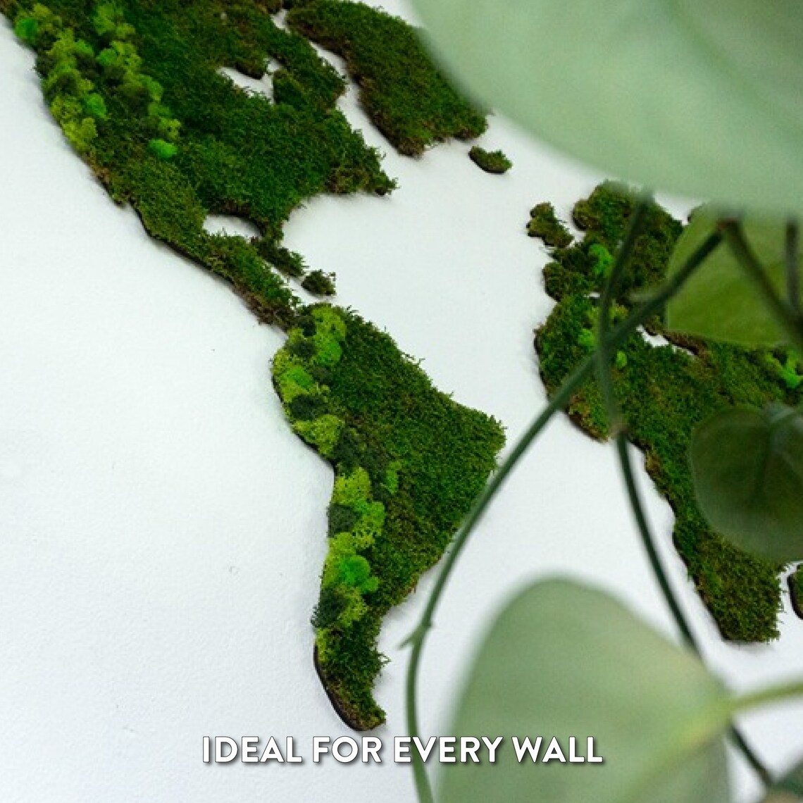 Moss Map Moss Worldmap Moss Wall Moss Decoration Vertical - Etsy