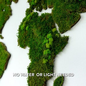 Moss Map, Moss Worldmap, Moss Wall, Moss Decoration, Vertical Garden ...