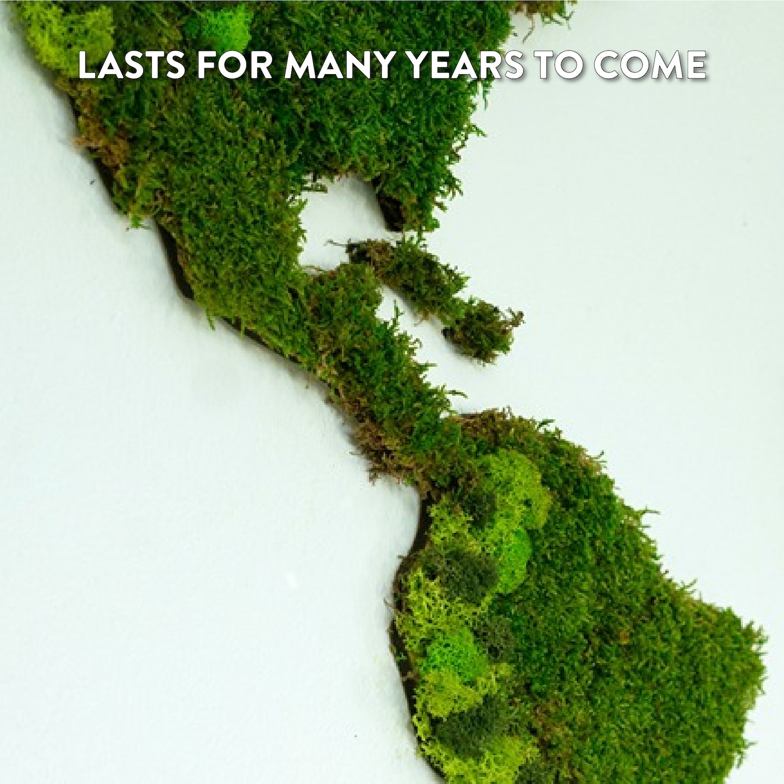 Moss Map Moss Worldmap Moss Wall Moss Decoration Vertical - Etsy