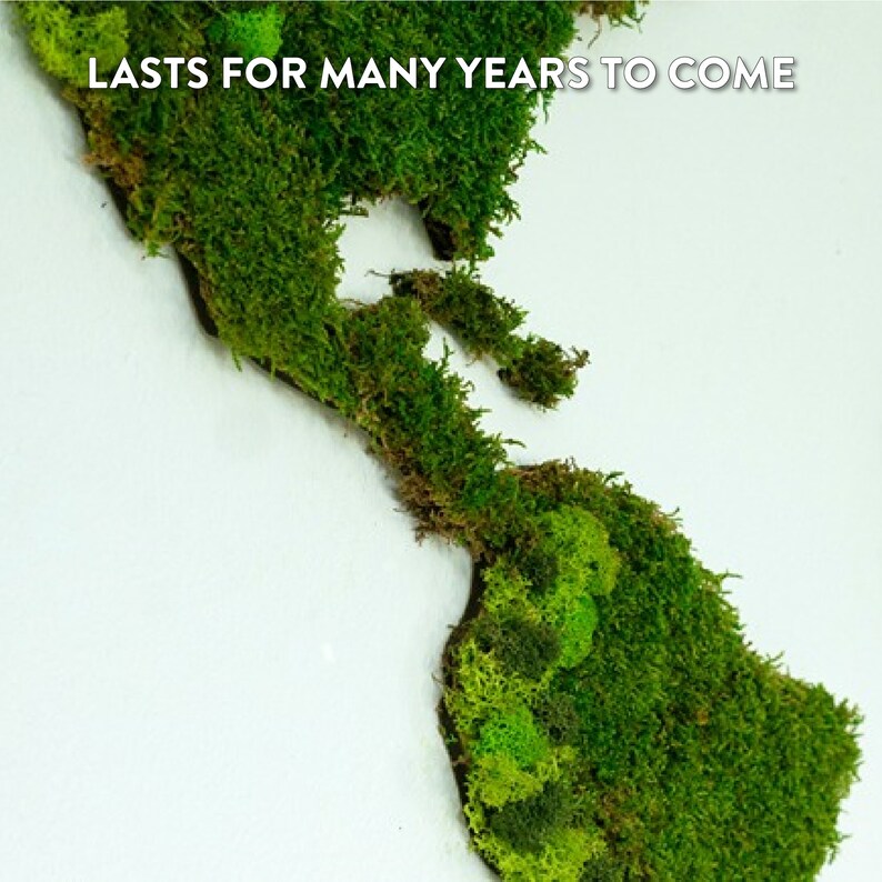 Moss Map Moss Worldmap Moss Wall Moss Decoration Vertical - Etsy