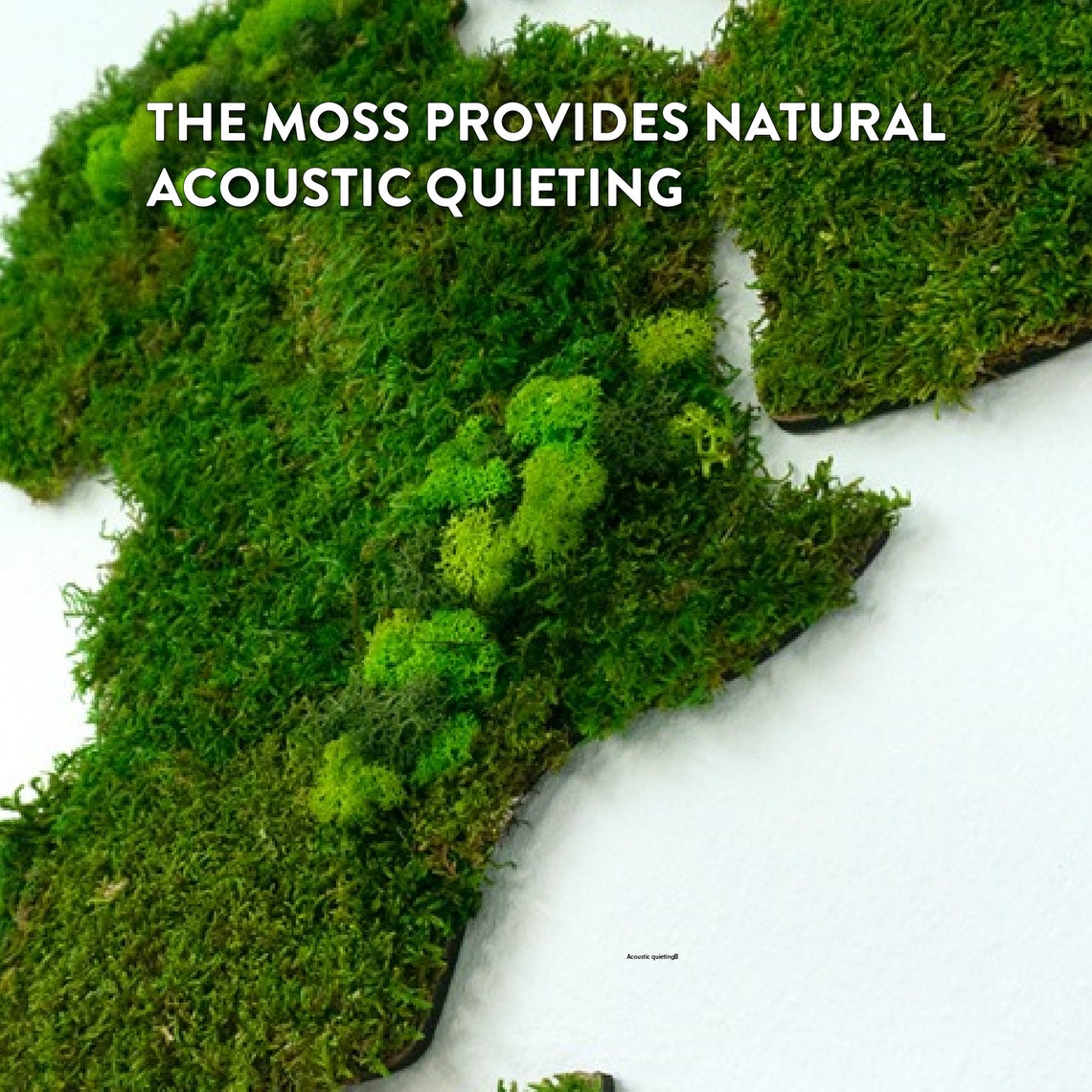 Moss Map Moss Worldmap Moss Wall Moss Decoration Vertical - Etsy