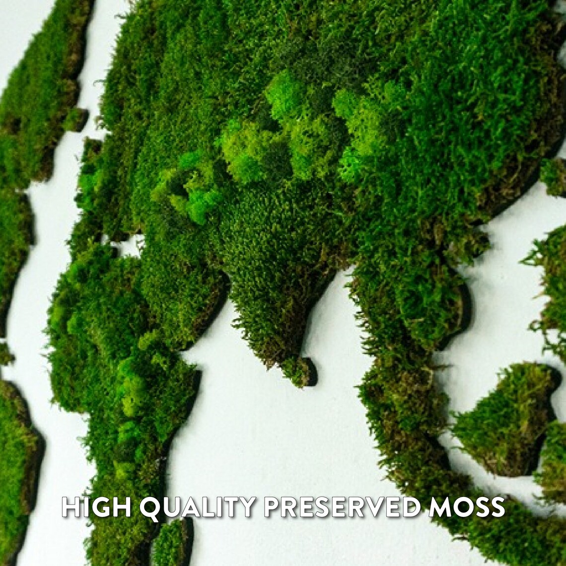 Moss Map Moss Worldmap Moss Wall Moss Decoration Vertical - Etsy
