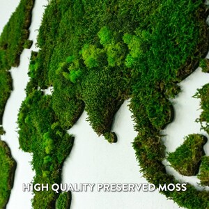 Moss Map, Moss Worldmap, Moss Wall, Moss Decoration, Vertical Garden ...