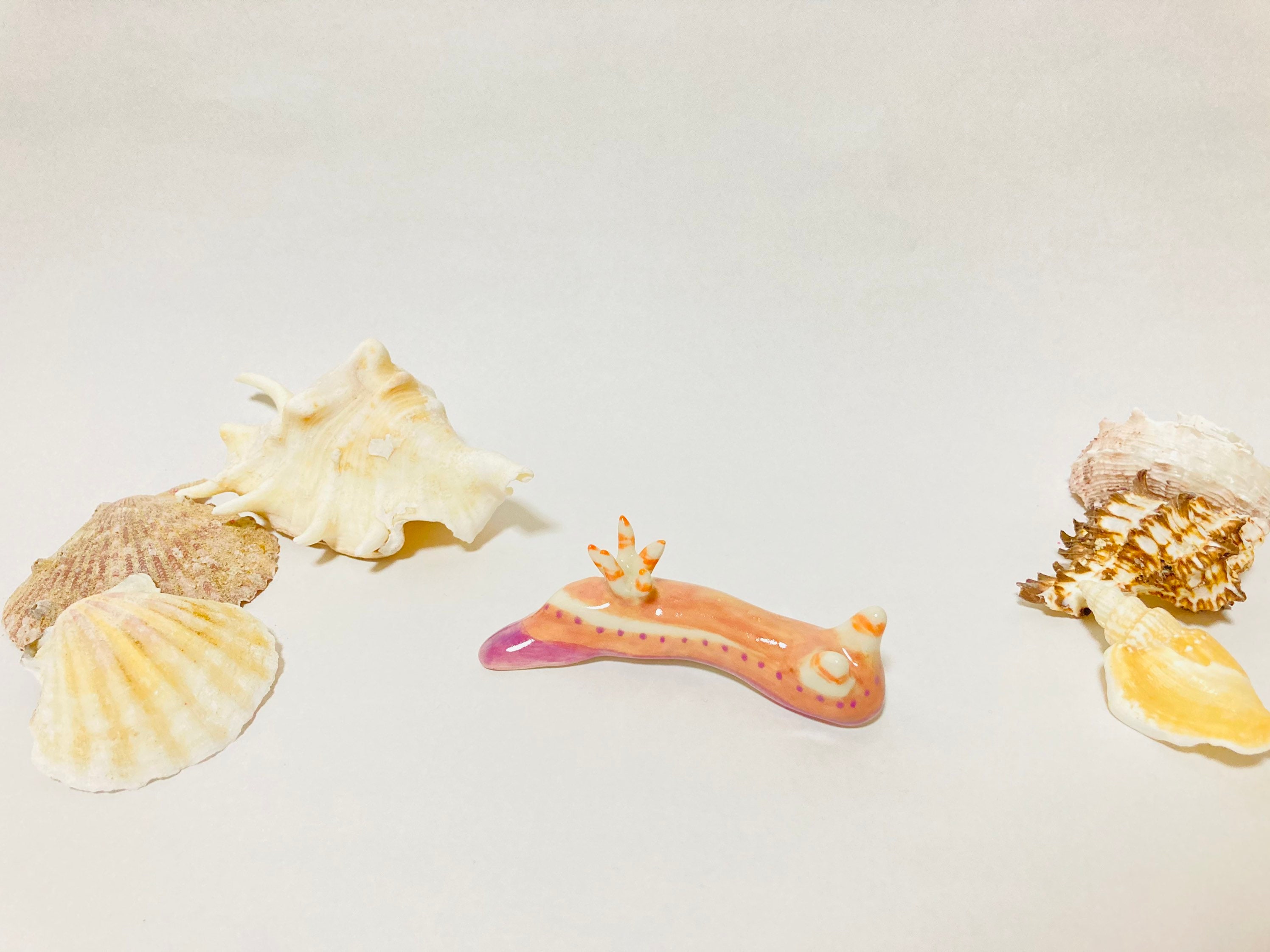 Fine Art Ceramics mini sea slug Nudibranchs Ceramics ceramic sculpture ...