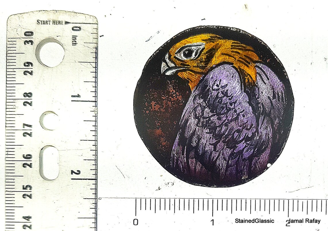 Stained Glass Window, Eagle, Falcon, Hawk, Heraldic, Gothic Revival ...