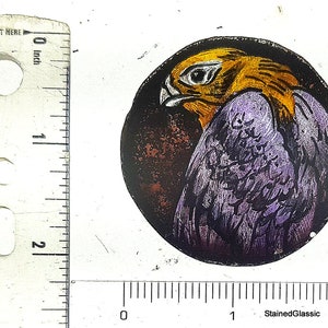 Stained Glass Window, Eagle, Falcon, Hawk, Heraldic, Gothic Revival ...
