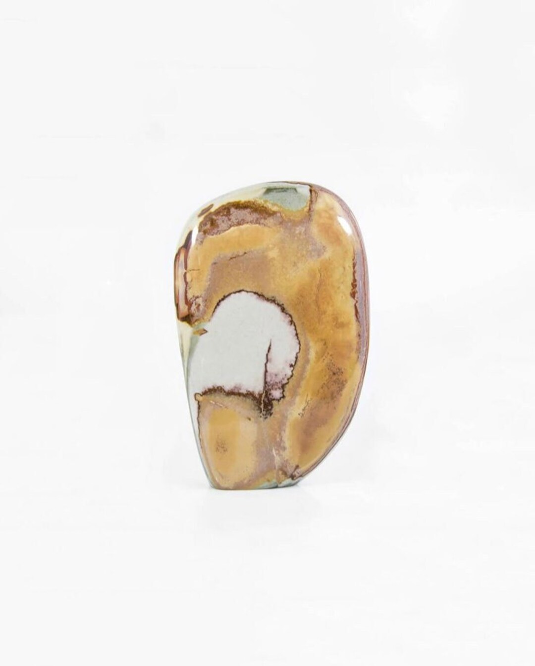 Riband Jasper - Gaping Mouthed Singer - German 'schafer & Vater' - Like ...