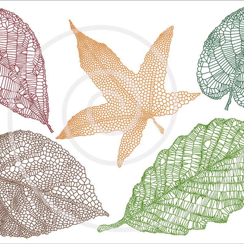 Skeleton Leaf Art - Etsy