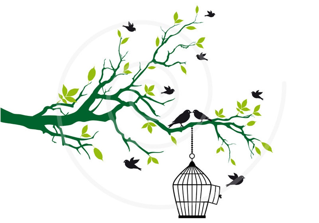 Free Birds With Open Birdcage on Tree Branch With Green Leaves, Clip ...