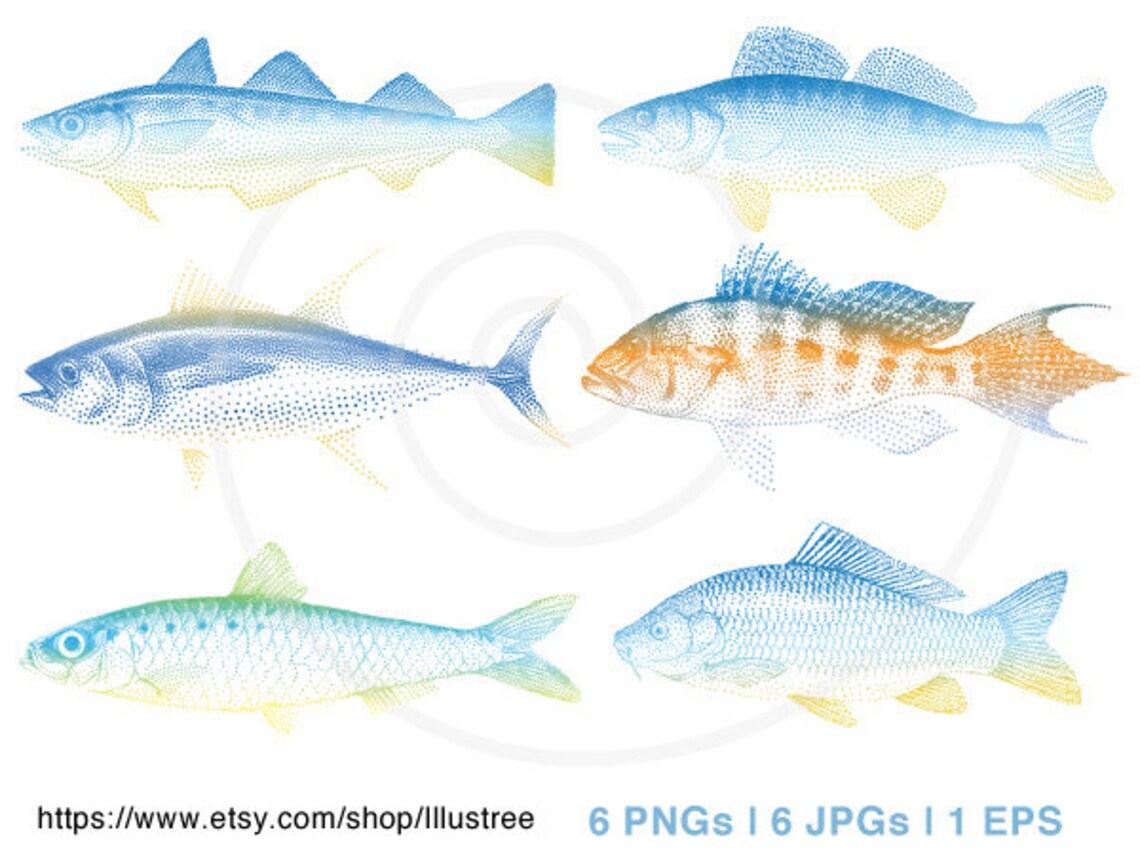 Fish digital clip art blue sea fishes clipart set | Etsy