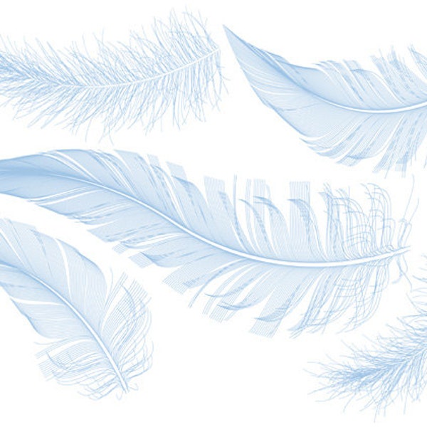 Blue Feather Print - Etsy