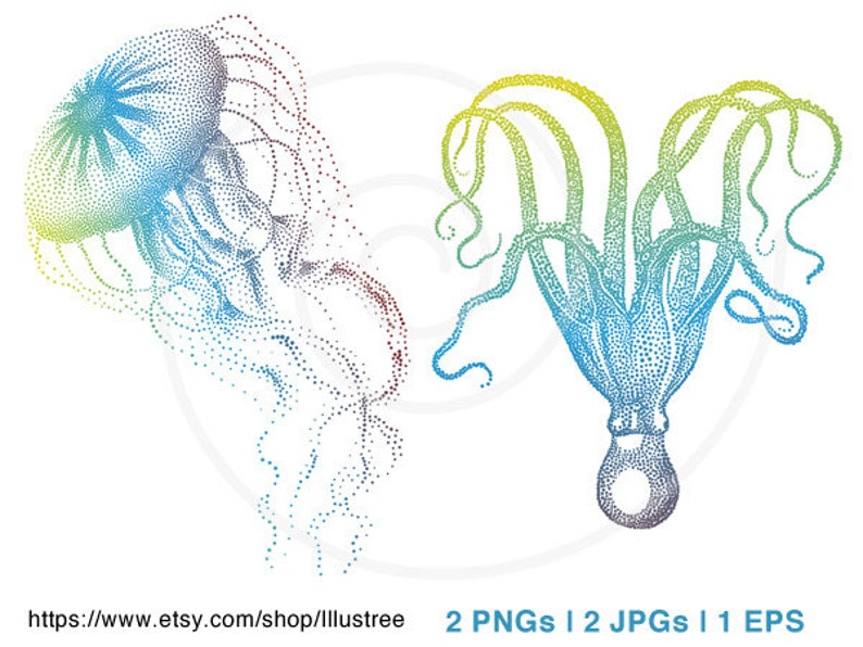 Jellyfish and Octopus Digital Clipart Illustration Drawing - Etsy