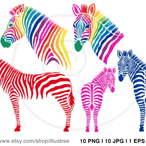 Zebra Art - Etsy