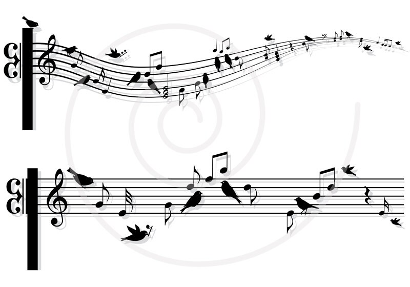 Musical Notes With Birds Music Sheet Animal Digital Clip - Etsy