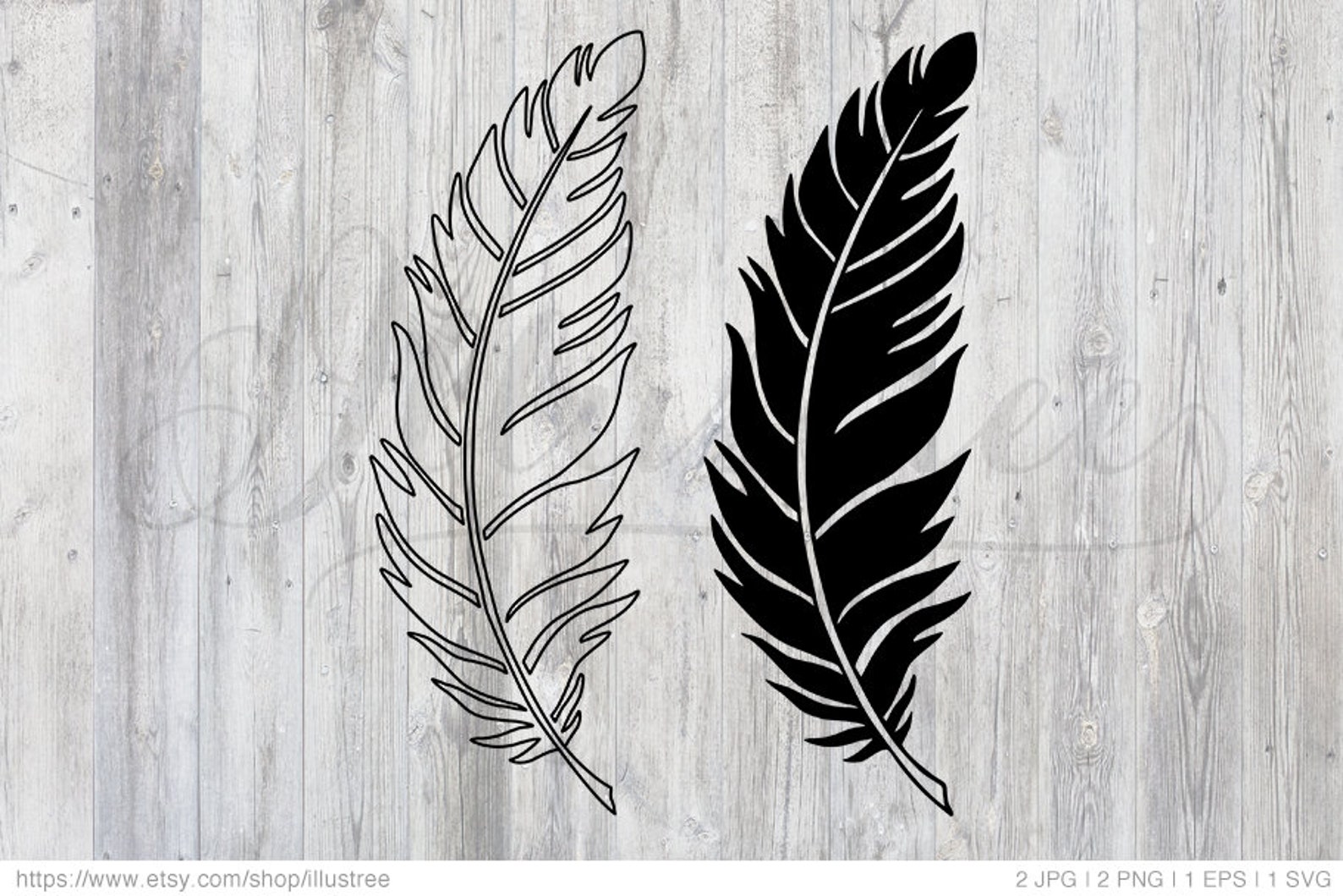 Feather SVG, Digital Clip Art, JPG, PNG, Cut File for Cutting Machines ...