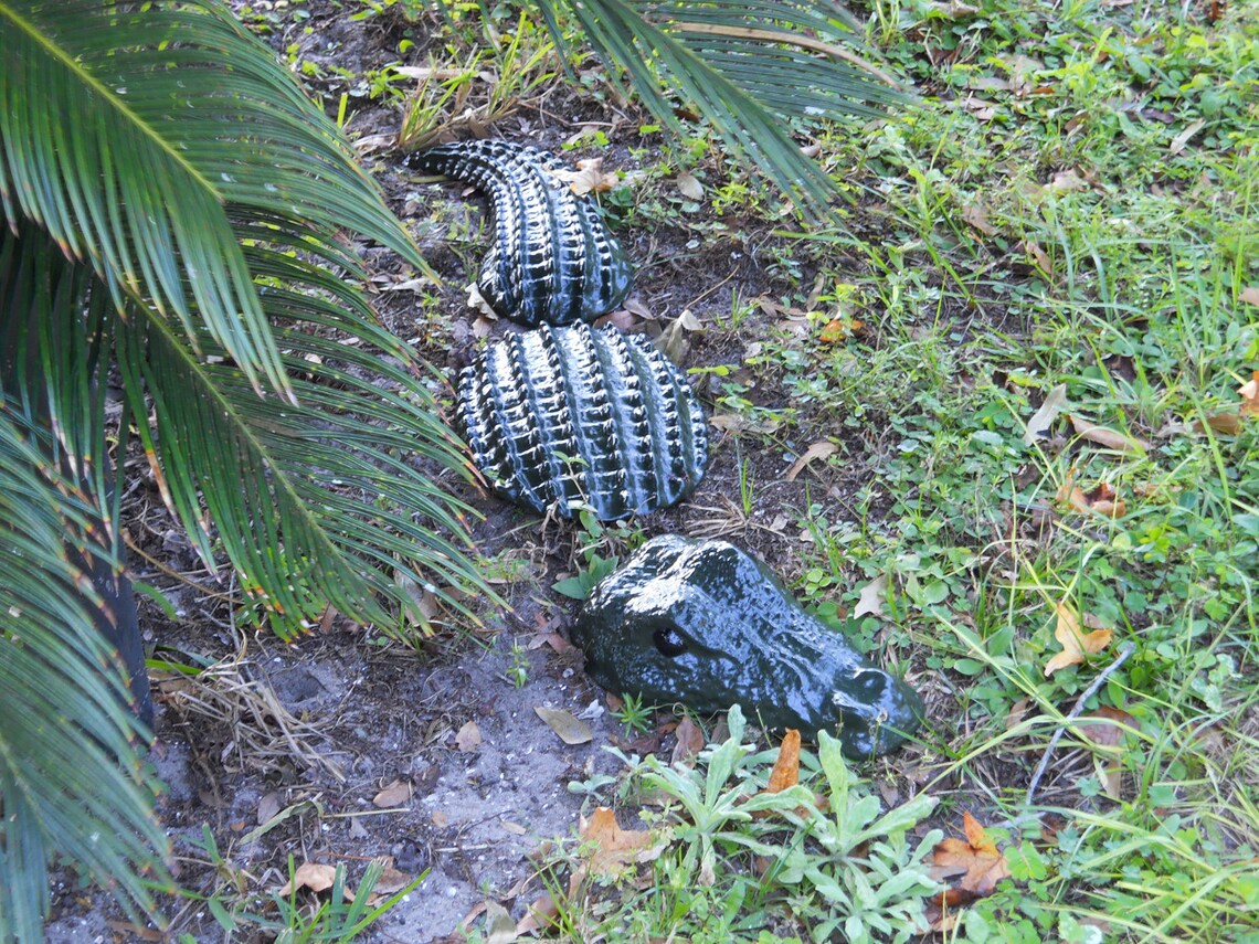 3pc Alligator Statue 32 Inches - Etsy