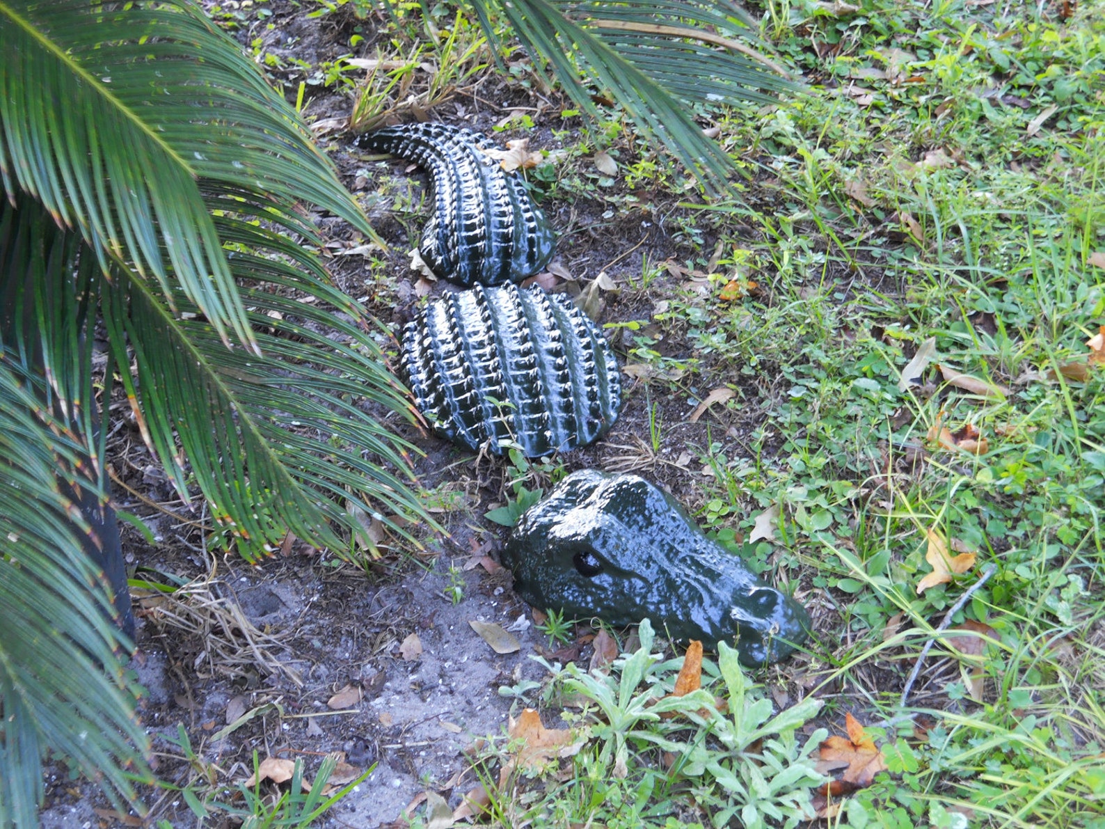 3pc Alligator Statue 32 Inches - Etsy
