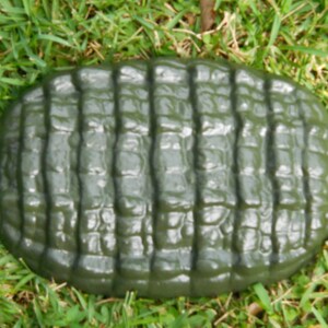 3pc Alligator Statue 48 Inches - Etsy