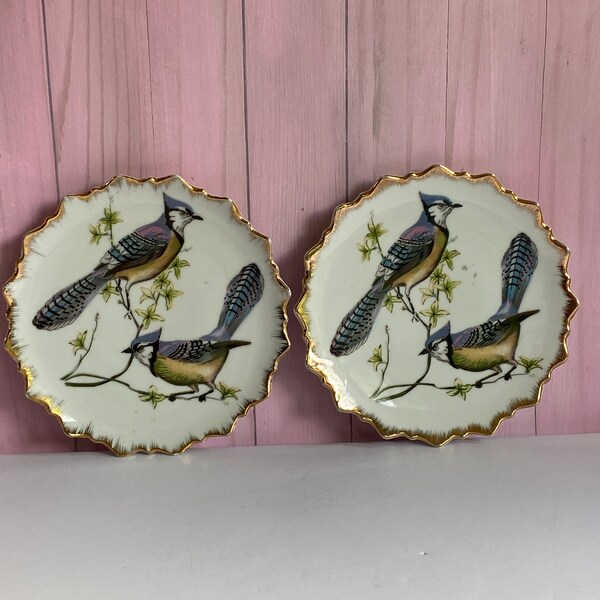 Ceramic Bird Plates - Etsy