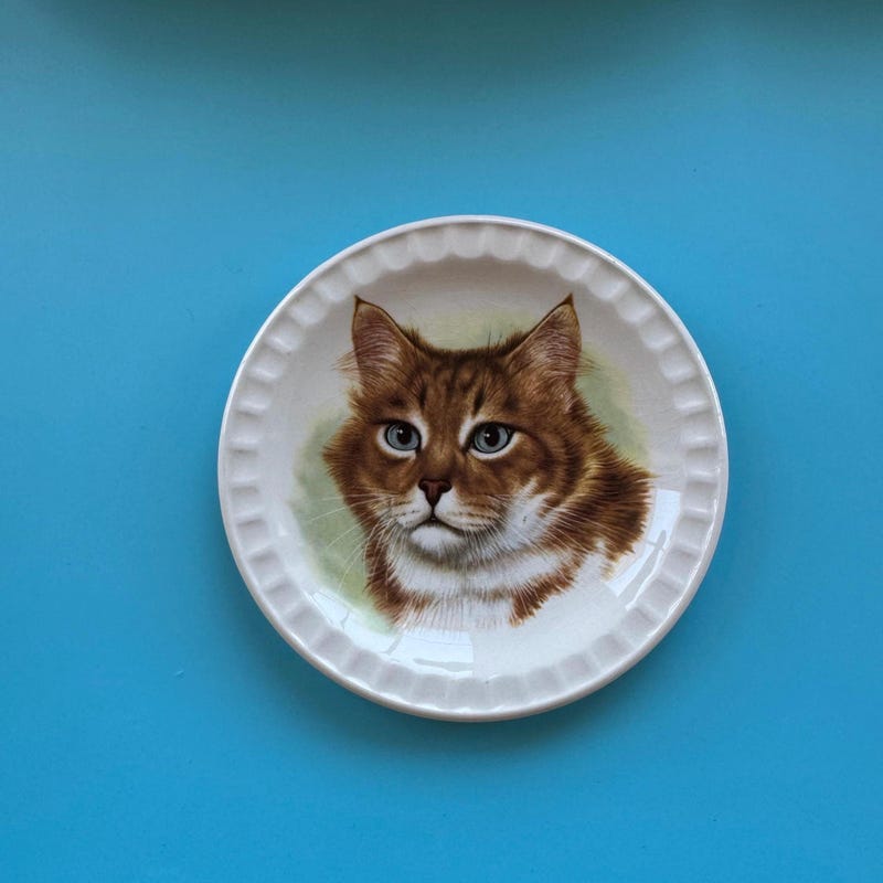 Cat Decorative Plate - Etsy