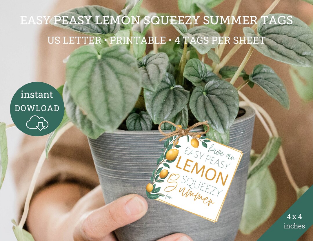 Easy Peasy Lemon Squeezy Summer Tags | Teacher Gifts | Printable Gift ...