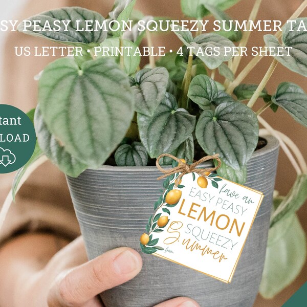 Lemon Squeezy - Etsy