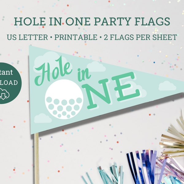 Hole in One Flag Display - Etsy
