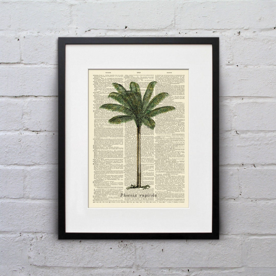 Tropical Palm Tree - Scientific Plate Dictionary Page Book Art Print ...