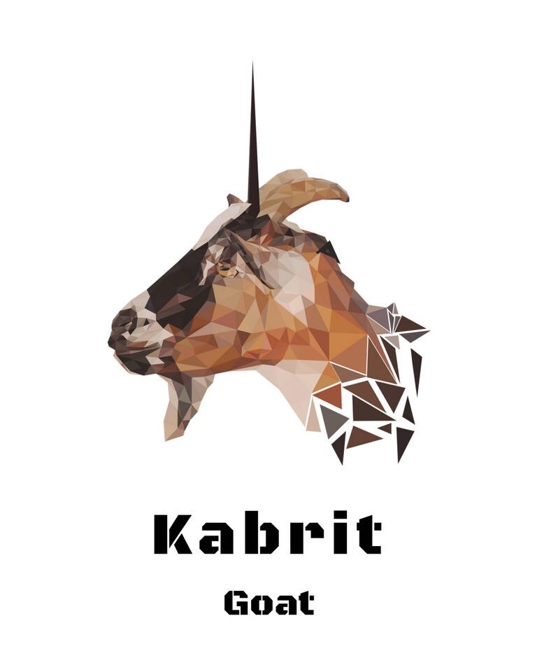 Art Print: Goat / Kabrit Haitian Creole - Etsy