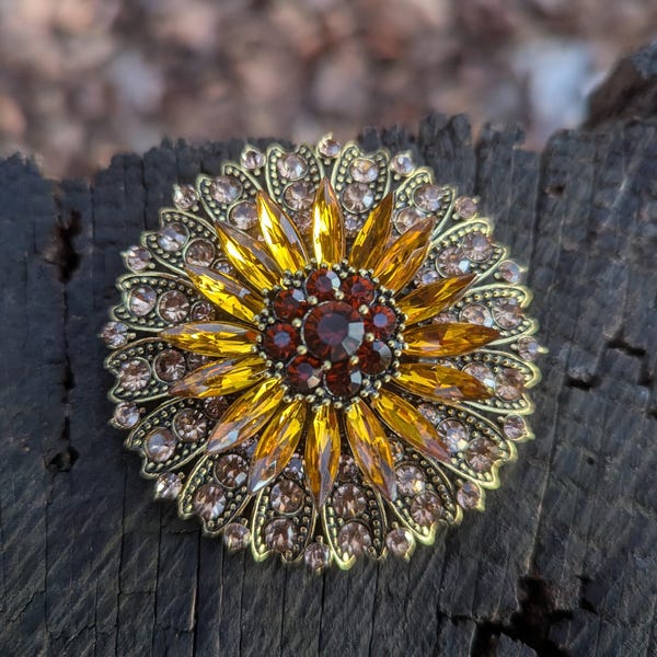 Amber Pin - Etsy