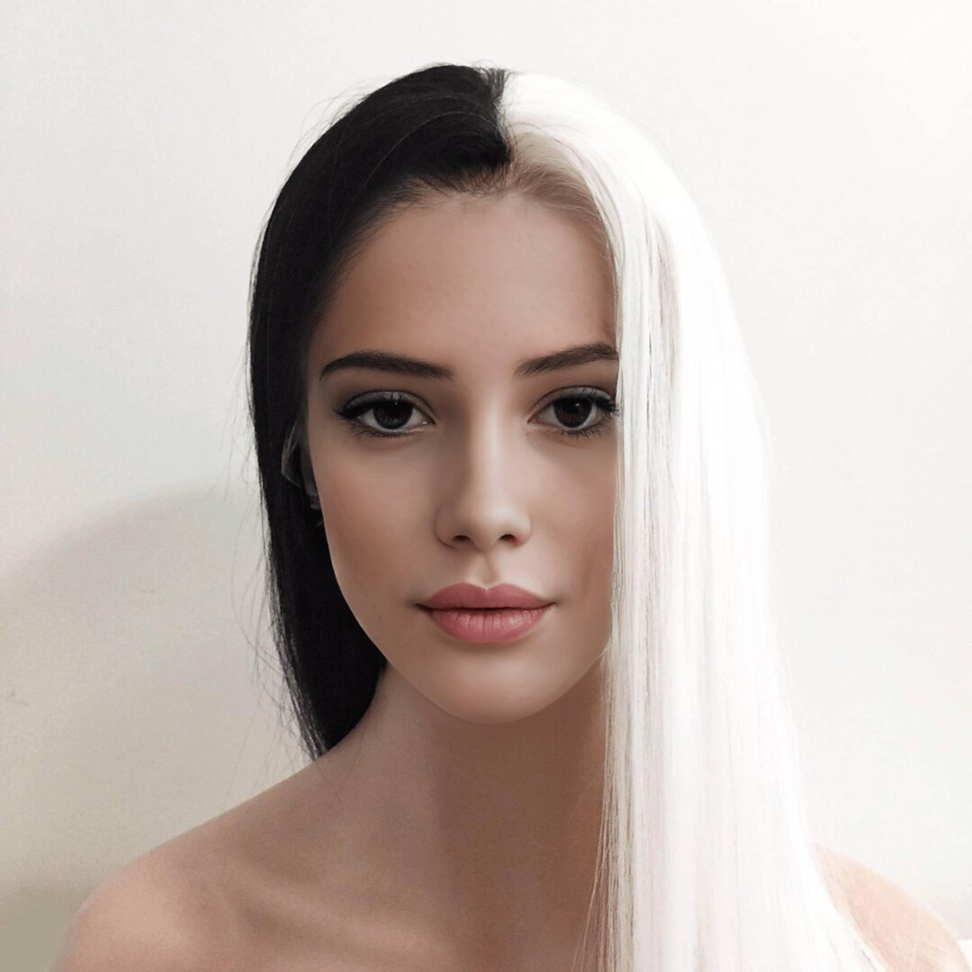 Black and White Lace Front Wig for Women Split Color Two Tone Wig Long ...