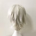 Unisex Silver White Fringe Long Bangs Layered Short Straight Cosplay ...
