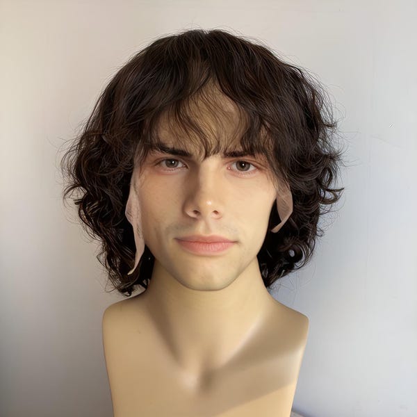 Men Human Hair Wig Long - Etsy New Zealand