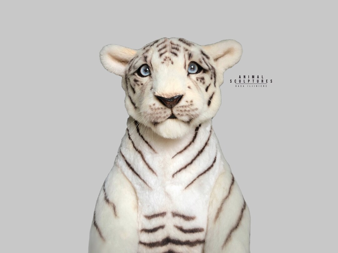 Realistic Stuffed White Tiger Cub OOAK - Etsy