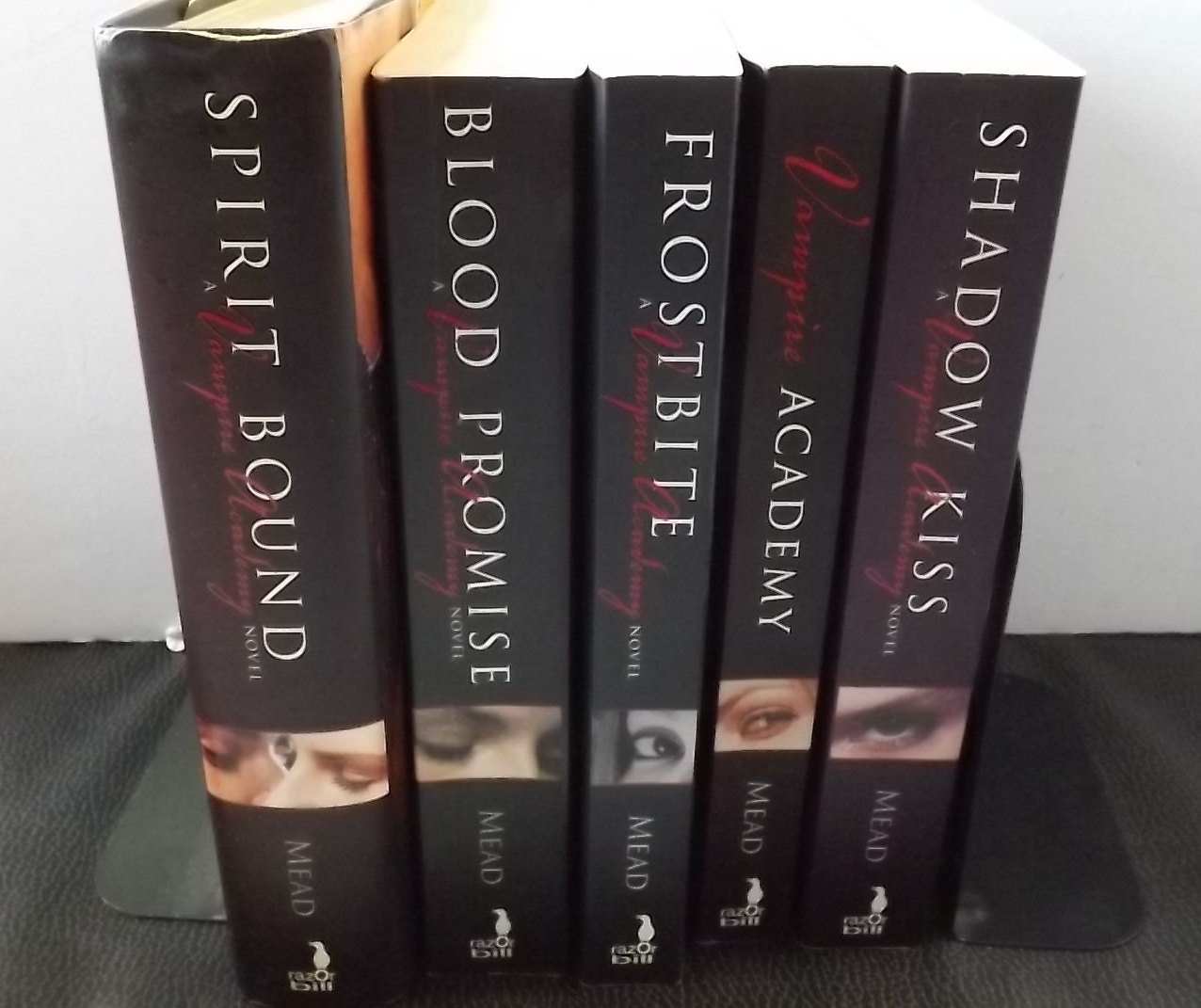 Vampire Academy Book Cover