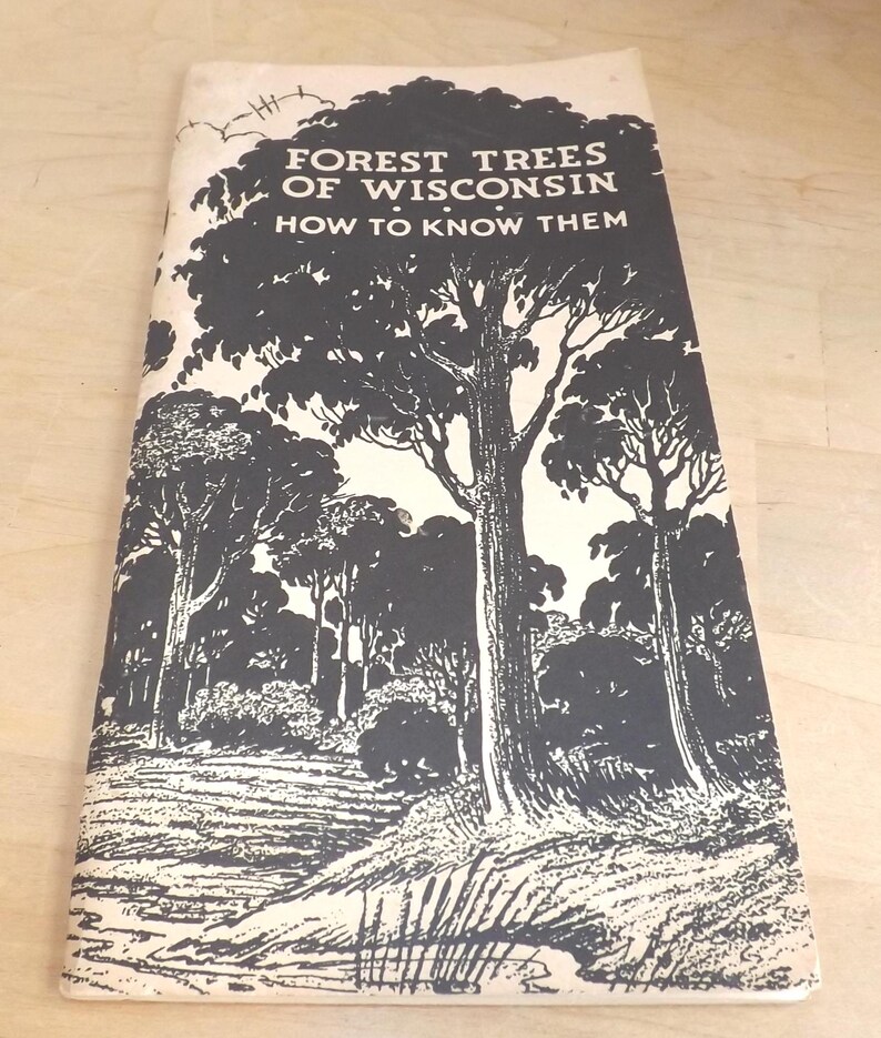 Forest Trees of Wisconsin Pamphlet - Etsy