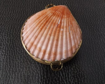 Shell Coin Purse - Etsy