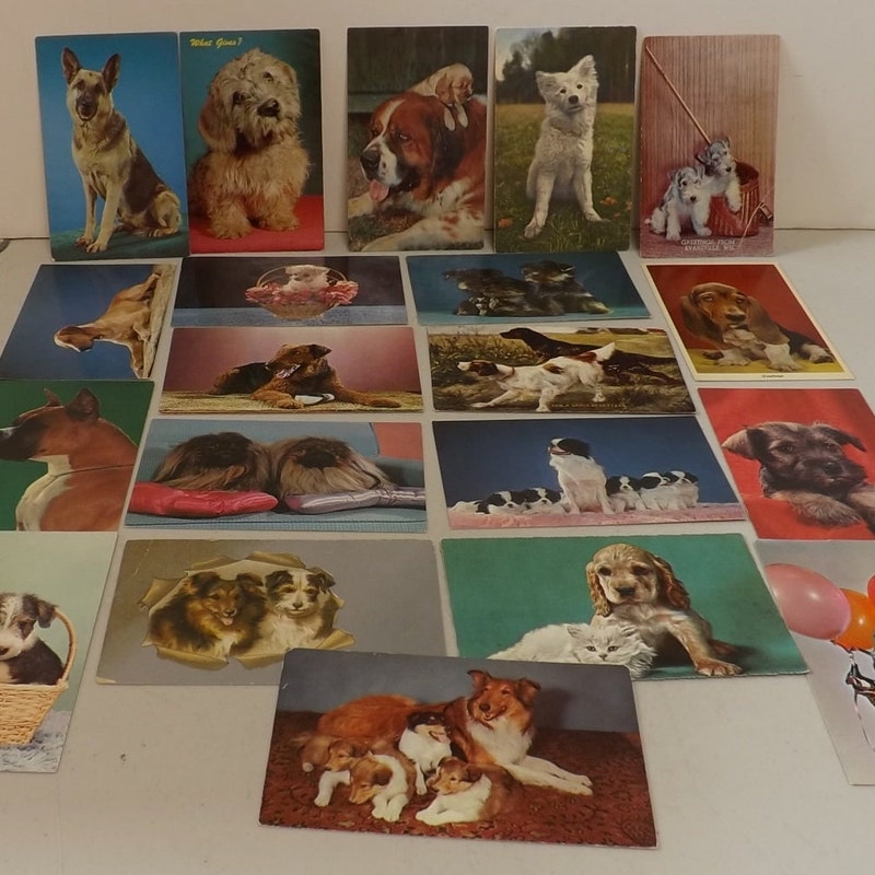 Dog Postcard - Etsy