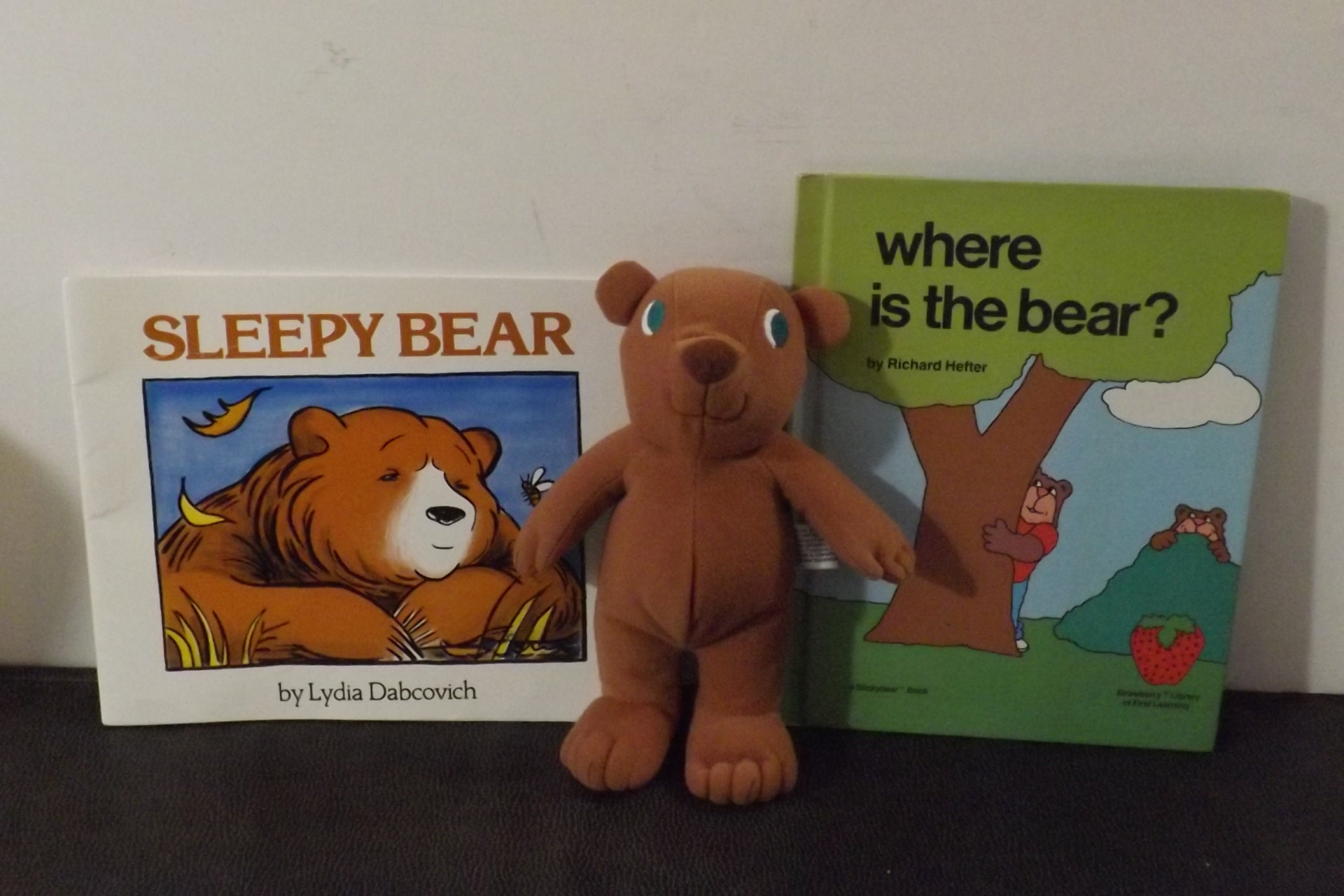Sleepys Bear Book