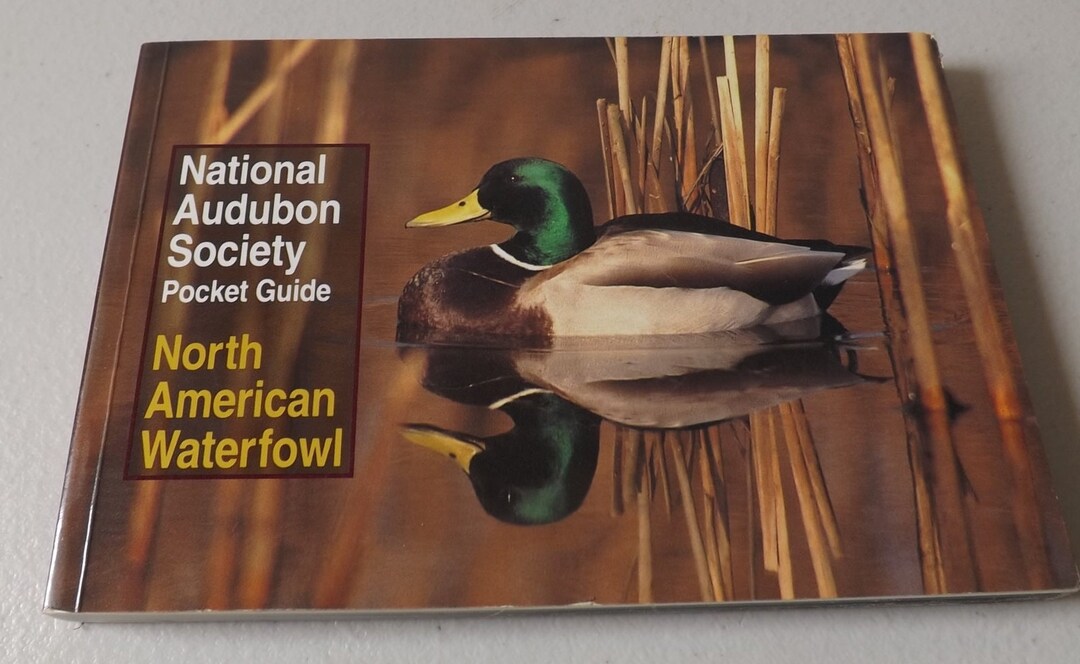 National Audubon Society Pocket Guide North American Waterfowl See ...